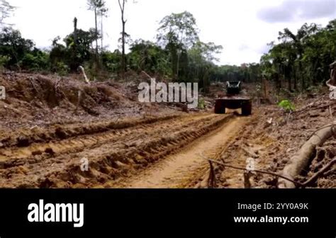 Bata Equatorial Guinea 10102024 Tropical Forest Logging Tractor