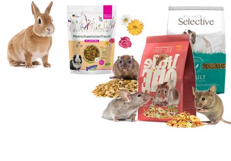 ¡el Mejor Alimento Para Roedores Y Conejos Drd Rodent Shop® Drd