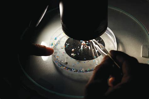 Drinking Water Safety And Simple Solutions For Plastics And Pathogens