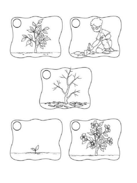 Partes De Las Plantas Ficha Interactiva Topworksheets