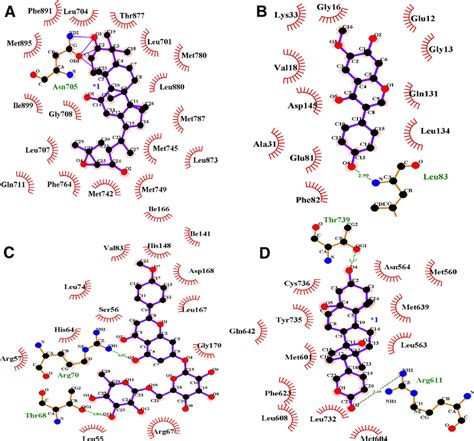 The Specific View Of The 2d Ligand Interaction A Alisol B And Ar