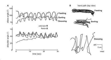 Spatiotemporal Characteristics And Training Schedule Of Motor Tasks Download Scientific