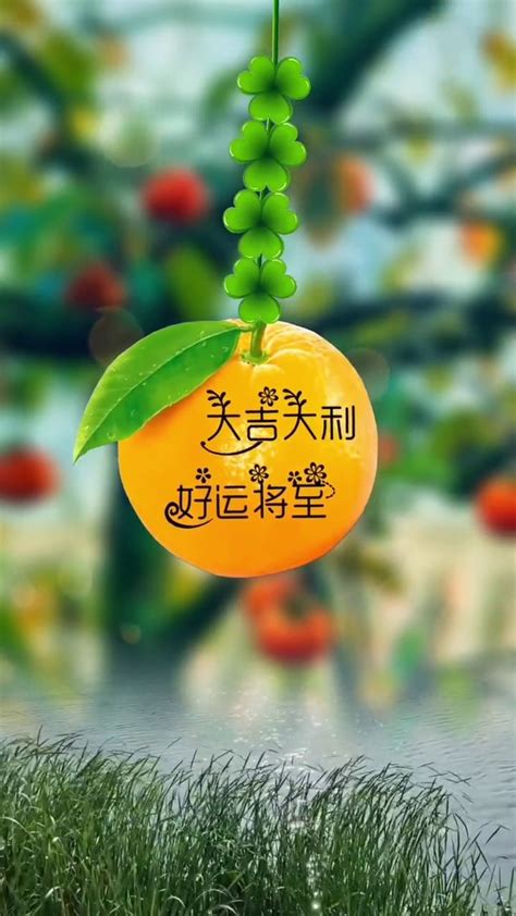 好运将至 小清新手机动态壁纸 小清新手机壁纸下载 元气壁纸