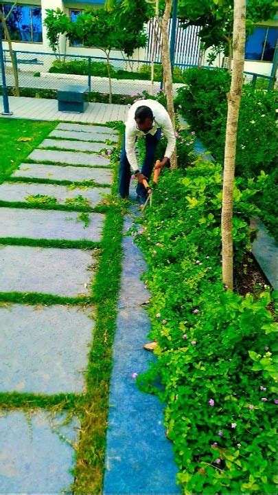 Verynice Topgardeningshree Agrodvara Maintenance Lawm Mowing