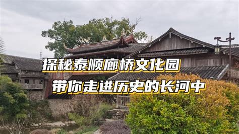 探秘泰顺廊桥文化园，带你走进姊妹廊桥的历史长河中旅游旅途风光好看视频