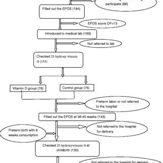 The Flow Chart Of Sampling Download Scientific Diagram