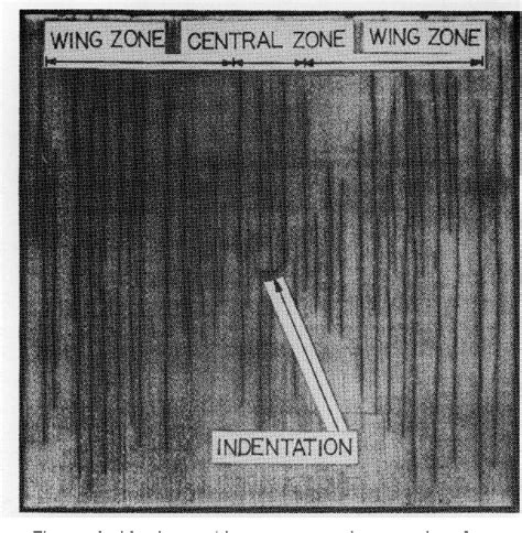 Figure 3 From Matrix Cracking In Impacted Glass Epoxy Plates Semantic Scholar