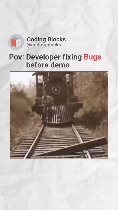 Developer Fixing Bugs😂 🐞 Relatable Codingblocks Developer Bugs Meme Coding Youtube
