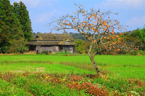 日本の風景田舎の秋壁紙1920x1280 壁紙館