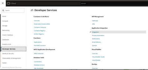 Oracle Integration Cloud Calling Api Endpoints With Oauth Using