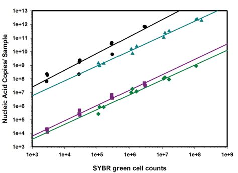 1 Dynamic Range And Sensitivity Of Qpcr And Qrt Pcr From P Aeruginosa Download Scientific