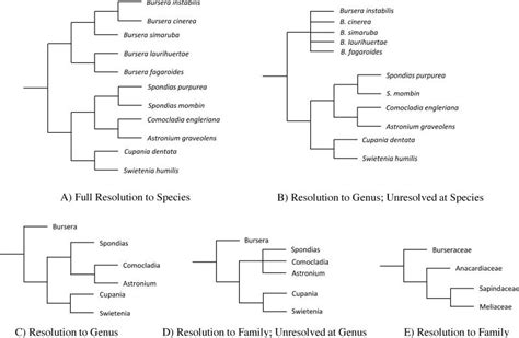 Weighting And Resolution Manipulations Of Phylogenetic Tree The
