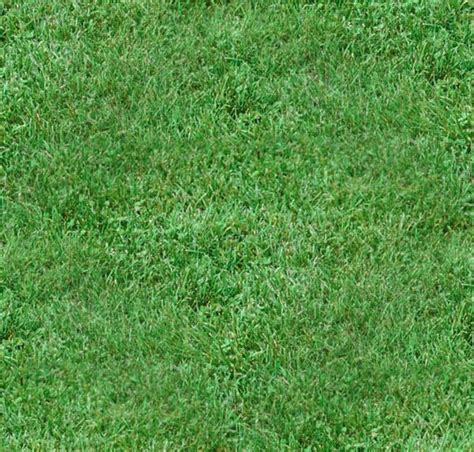 Material Rumput Sketchup 49 Koleksi Gambar