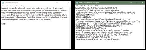 Demystifying Ransomware Techniques Using Net Assemblies Main