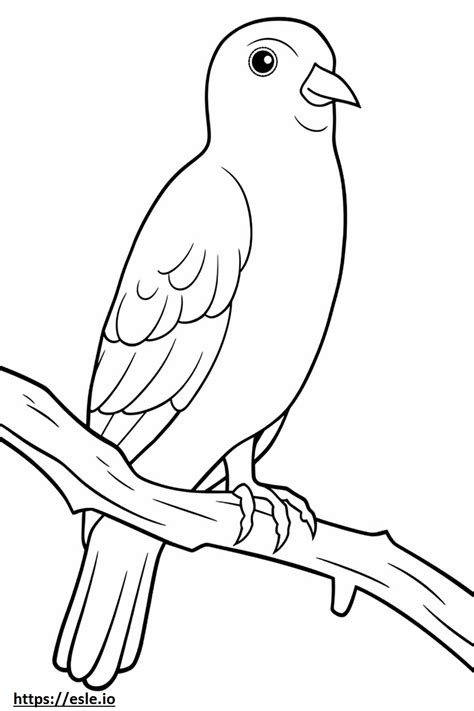 Baya Full Body Coloring Page
