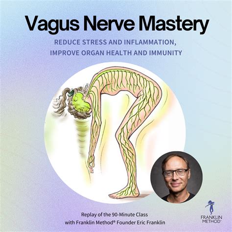 Vagus Nerve Mastery Franklin Method®