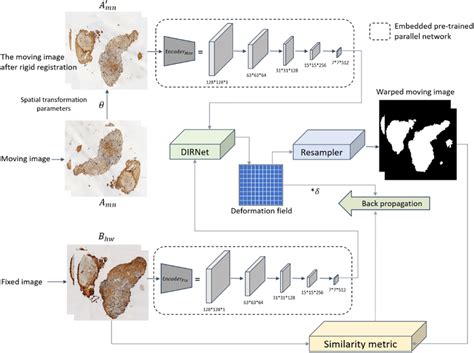 Schematic Diagram Illustrating The Process Of Embedding The Modal Download Scientific Diagram