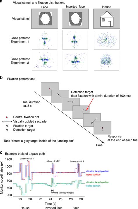 Experimental Design And Fixation Patterns In Experiments 1 And 2 A An Download Scientific