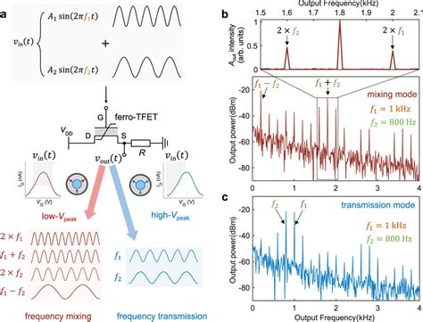 Reconfigurable Frequency Mixing In A Single Ferro Tfet A Working Download Scientific Diagram