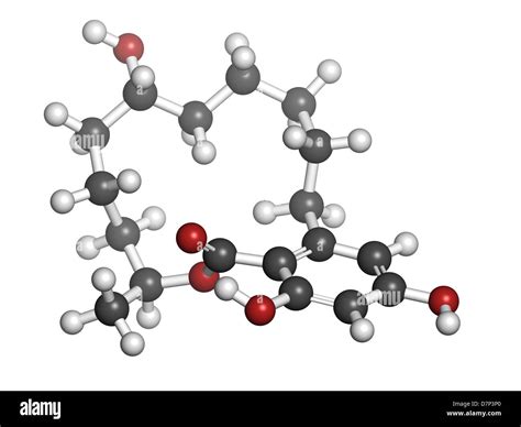 Zeranol Beef Growth Promoter Molecular Model Zeranol Has Non