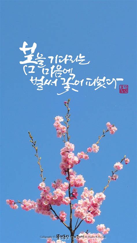 봄을 기다리는 마음