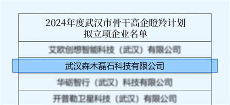 公司资讯丨森木磊石被纳入武汉市骨干高企瞪羚计划 森木磊石