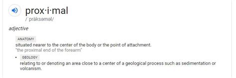 The Kinematic Sequence Proximal To Distal Part 1 Simple Sabermetrics