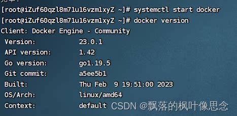 Linux Docker Csdn