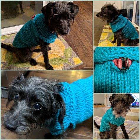 Harness Friendly Dog Sweater Knitting Pattern At Krystal Russell Blog