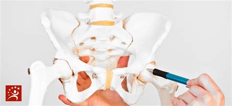 Synovitis Of The Hip Colorado Center Of Orthopaedic Excellence