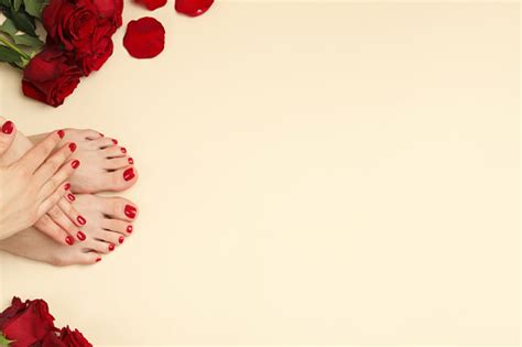 페디큐어 시술 후 세련 된 빨간 발톱과 베이지 색 배경에 장미 꽃을 가진 여자 평면도 텍스트를 위한 공간 건강한 생활방식에 대한 스톡 사진 및 기타 이미지 Istock