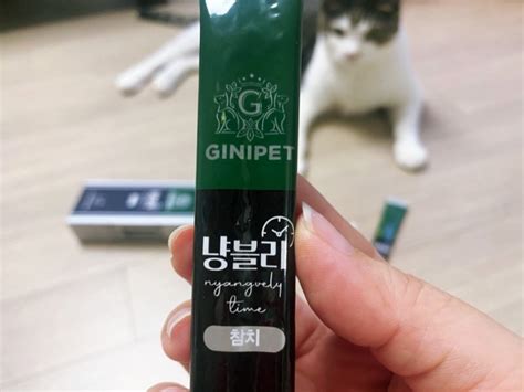 반려묘의 면역력 충전 홍삼을 더한 정관장 지니펫 고양이 홍삼 스틱 간식 냥블리😸 네이버 블로그