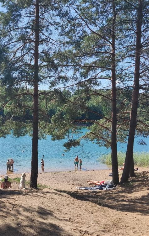 Сельский пляж Пляж Озера Пейзажи