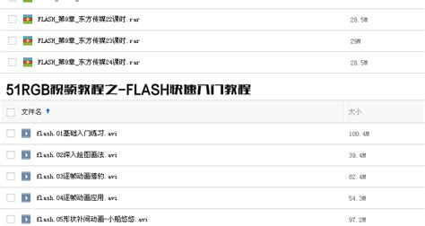 Flash Cs
