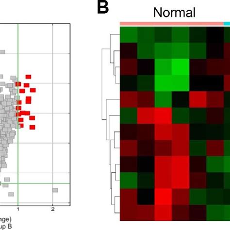 Microarray Data A Volcano Plot Displaying The Alteration Of Microrna