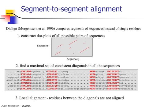 Ppt Multiple Sequence Alignment Powerpoint Presentation Free
