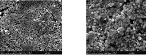 SEM Micrograph For A Ni B Ni Download Scientific Diagram