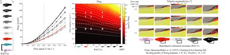 Data Visualization Bioinspirada