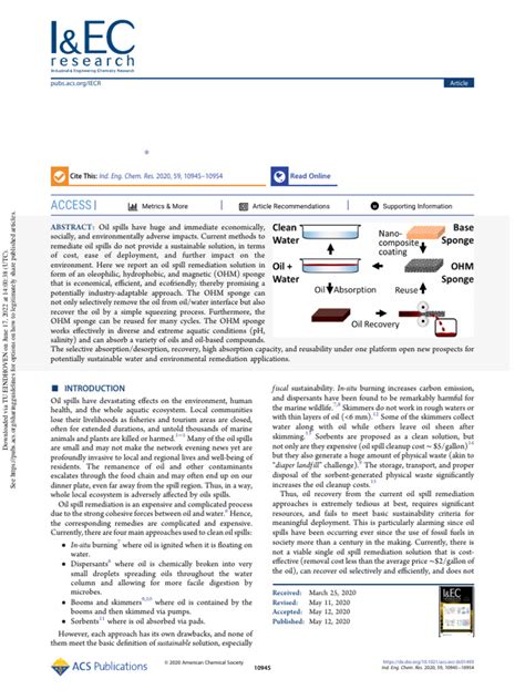 Ecofriendly Ohm Sponge For Oil Spill Cleanup Pdf Energy Dispersive