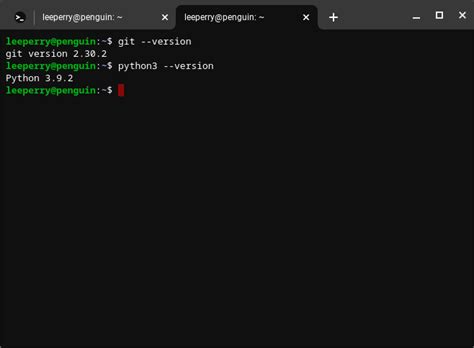 Lee Perry Installing Visual Studio Code On Chromebook