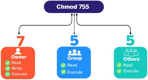 What Does Chmod 755 Command Mean And When Should You Use It Linovox