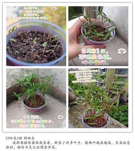 我与植物共成长：生命学院“心安”心理辅导站绿植领养活动完美收官！ 台州学院生命科学学院