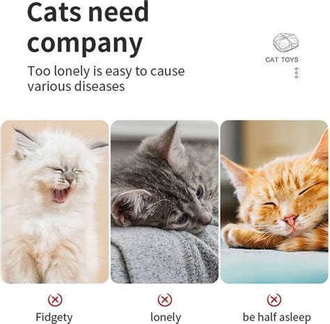 Eys Purrsuit Engaging Play And Durable Design Cat Motion Toy