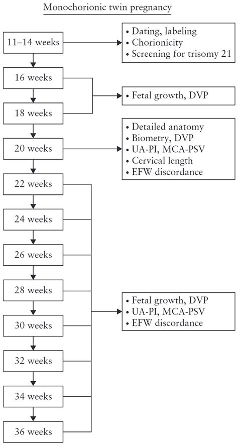 Twin Pregnancy Ultrasound Surveillance And Common Complications