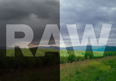 What Is RAW File Format Used For How To Open Edit A Raw