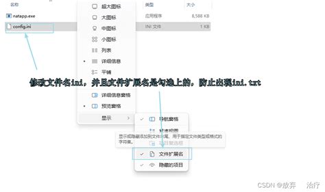 Natapp内网穿透工具安装和使用教程 Csdn博客
