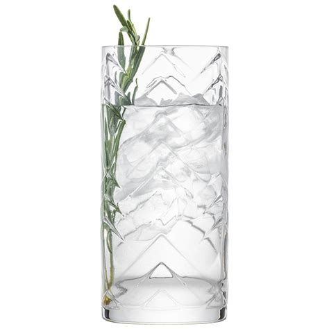 Bespoke Home Schott Zwiesel Fascination Highball Glasses Set Of 6