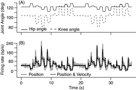 A Kinematic Trajectories Of The Hip And Knee Angle During A Download Scientific Diagram