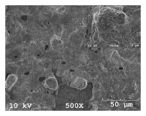 Representative Top View Sem Micrographs Of The A Group Ti And B Download Scientific