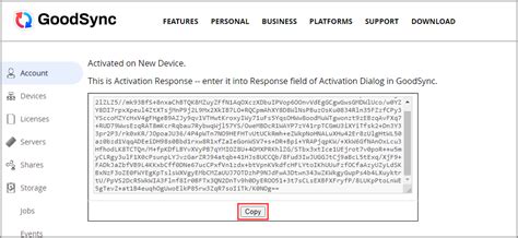 Goodsync Onlineoffline Activation For Windows Computers Enterprise